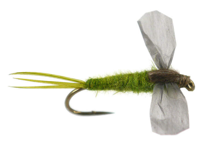 Deer Hair Emerger Sedge Olive V2