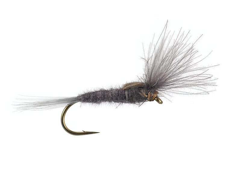 CDC Split Wing - Tan
