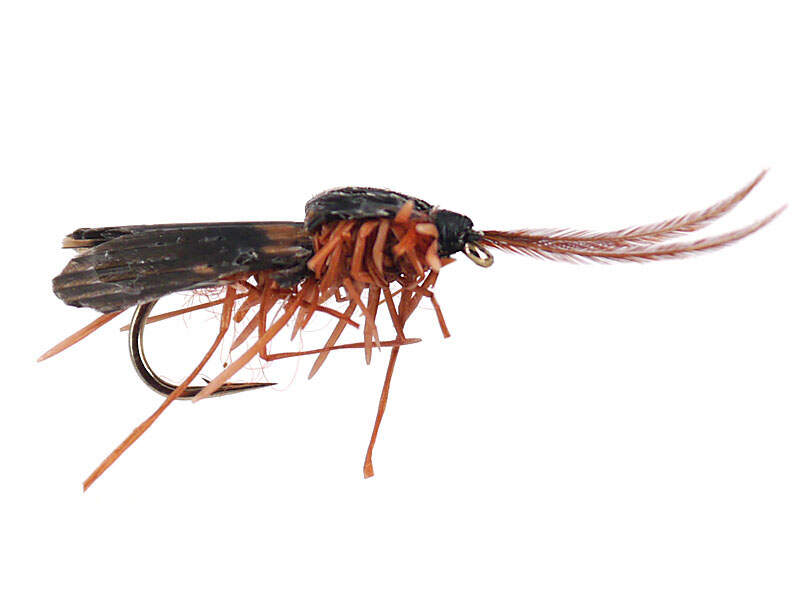 Realistic Brown Caddis