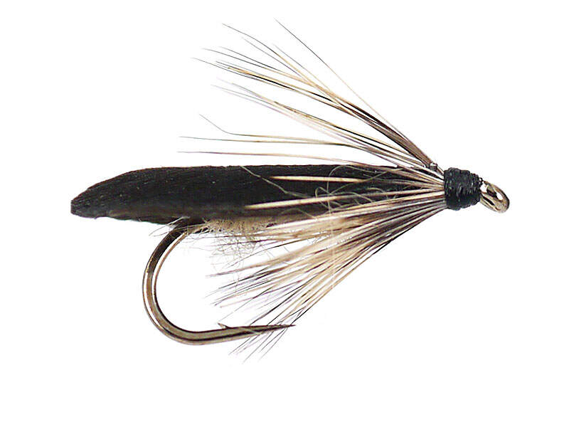Realistic Light Brown Sege