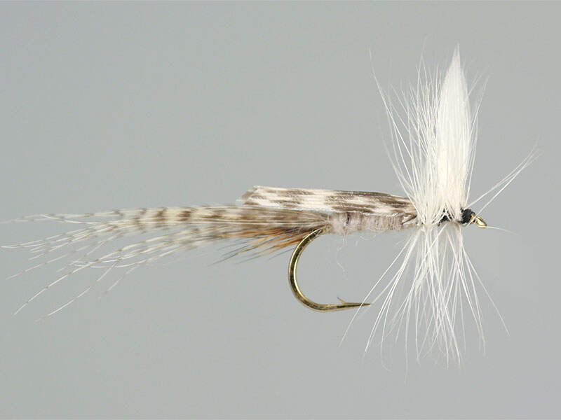 White Mayfly Dun