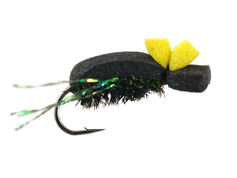 Foam Beetle