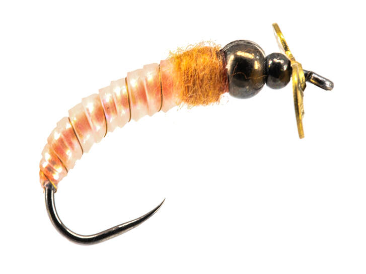X-True Roto Maggot Orange
