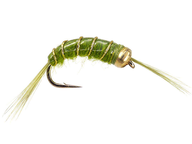 Scud Olive