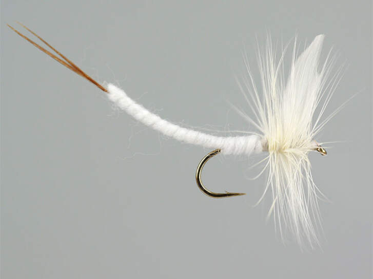 White Extended Body Mayfly